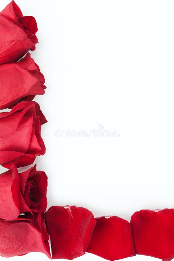 Red Roses Petals As Frame Outline Stock Photos - Free & Royalty-Free ...