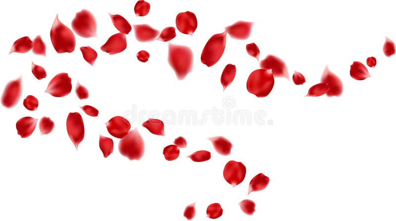 Red Roses Petals Flying Romance and Love Curve Wavy Element Vector ...