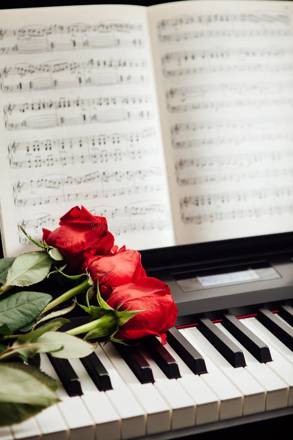Red roses on piano keys stock photo. Image of karaoke - 63882760