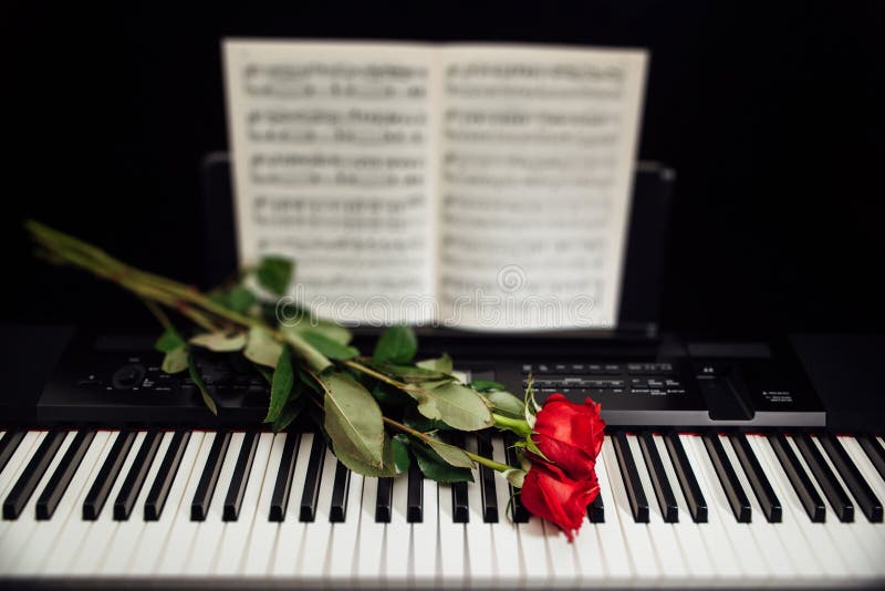 Red Roses on Piano Keys and Music Book Stock Photo - Image of concept ...