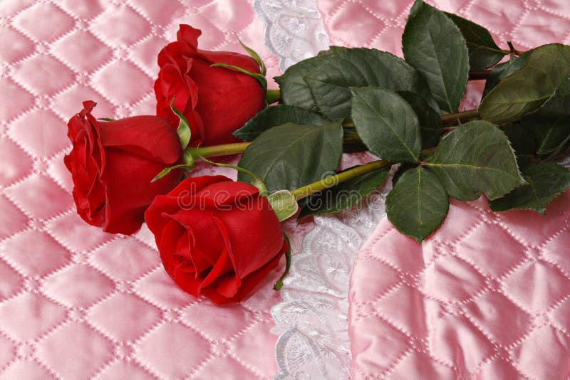 Red roses on pink satin. stock image. Image of rose, celebrate - 49300811