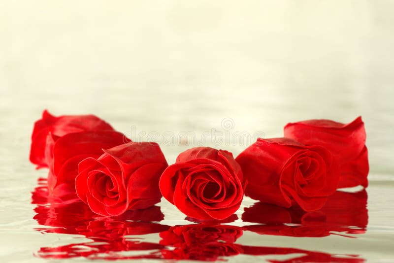 491 Beautiful Red Roses Water Reflection Stock Photos - Free & Royalty ...