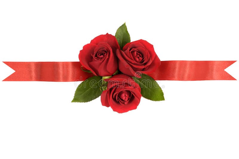 Red Roses Ribbon Banner Border Straight Horizontal Stock Photo - Image ...
