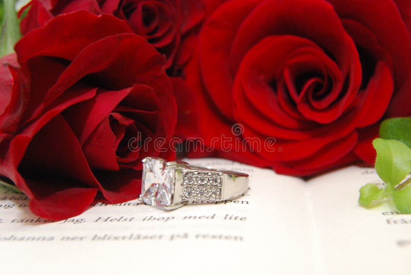 Red roses and a ring stock image. Image of honeymoon - 37245291