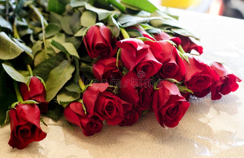 Red roses stock image. Image of rose, cluster, table - 52642871