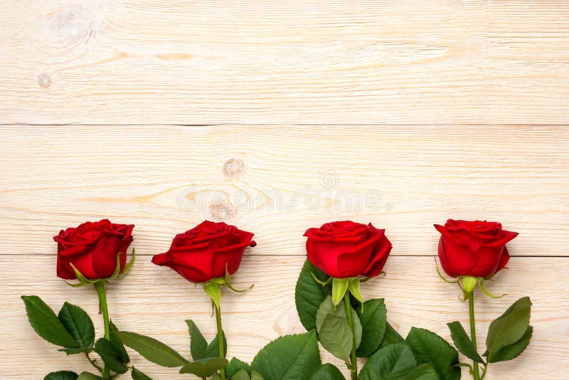 4 Red Roses in Row Over Rustic Wood Planks Stock Image - Image of clear ...