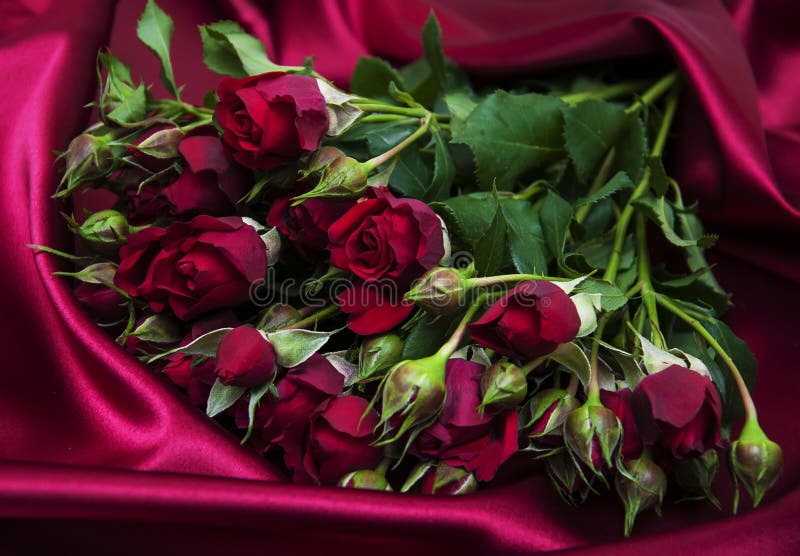 Roses on satin background stock image. Image of elegance - 28534367