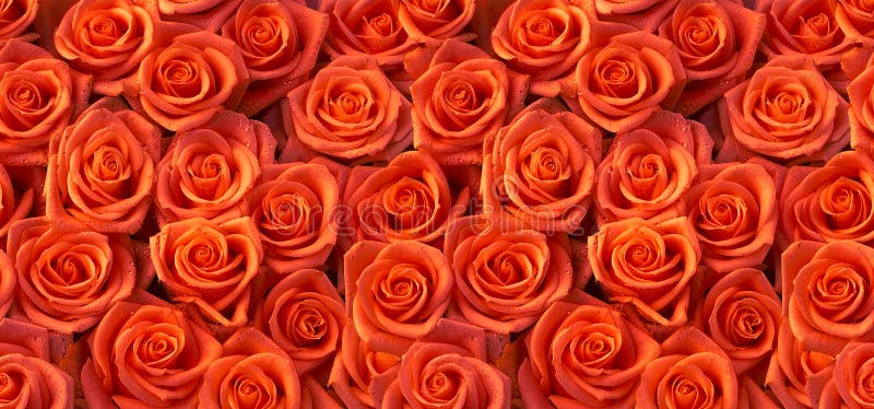 Red roses seamless pattern stock image. Image of decoration - 54101655