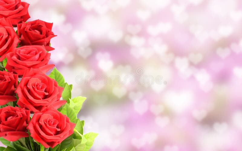 Red Roses with Shiny Background. Stock Photo - Image of bokeh, nature ...