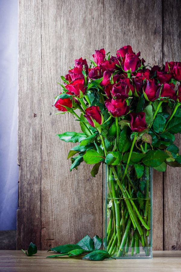 Red roses stock image. Image of petal, season, floral - 66077499