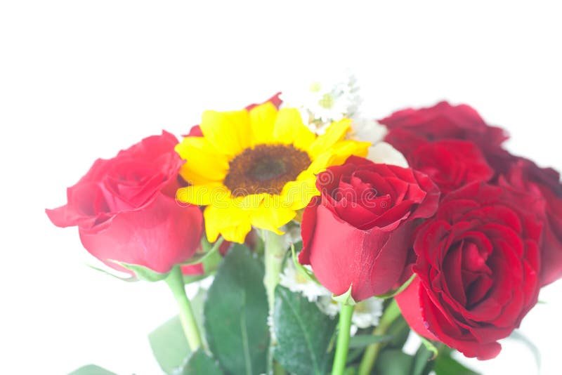 Red roses and sunflowers stock photo. Image of angle - 31278360