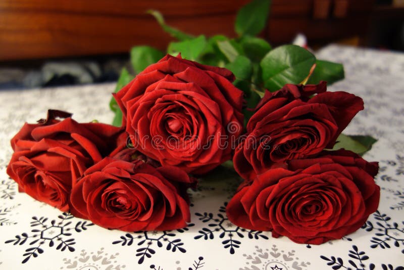 Red roses on table stock image. Image of plant, valentines - 66987373