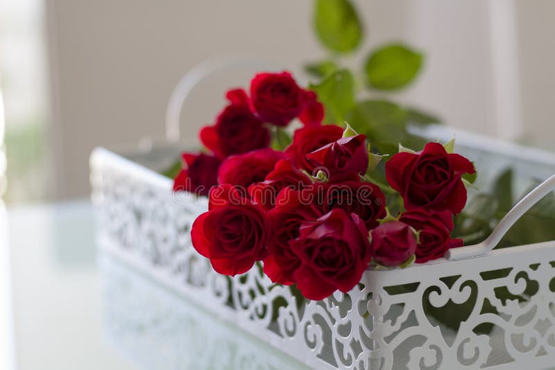 Red roses on table stock photo. Image of decoration, love - 97901782