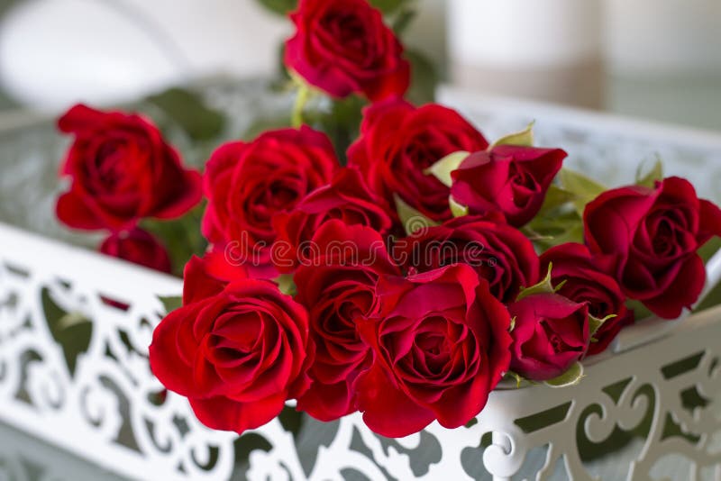 Red roses on table stock image. Image of beautiful, romantic - 97901901