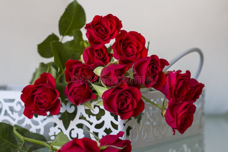 Red roses on table stock image. Image of birthday, romance - 97902107