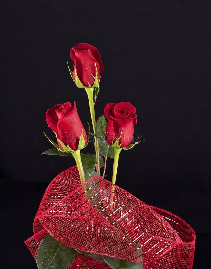 Red roses stock photo. Image of love, fresh, holiday - 36370362