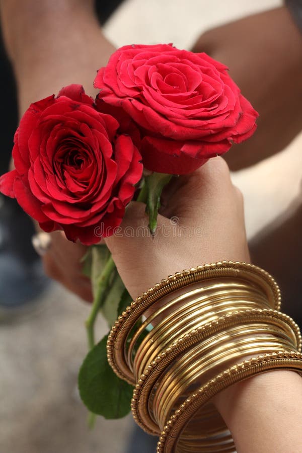 Red roses stock image. Image of india, modern, roses - 96208331