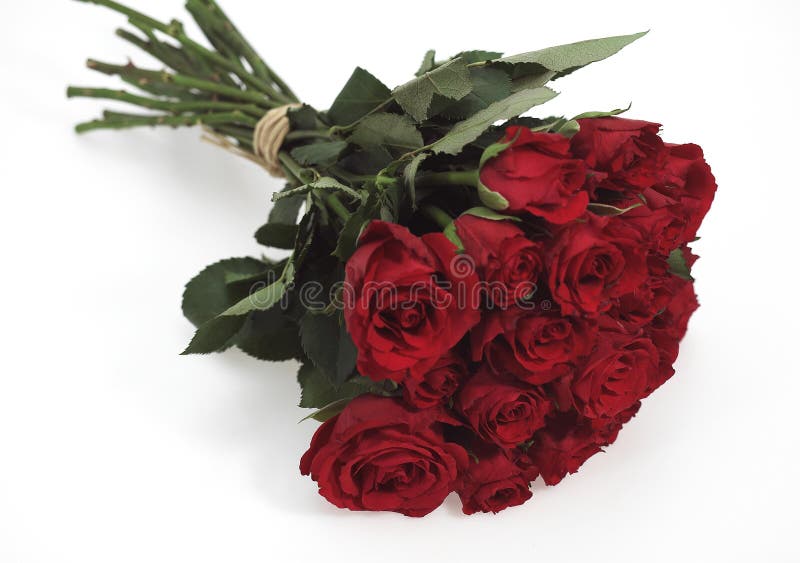 Red Roses for Valentine`s Day Stock Image - Image of roses, feast ...