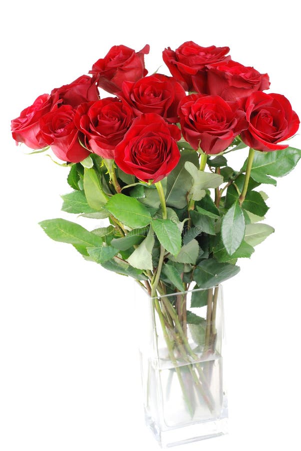 Red roses in a vase stock photo. Image of affection, anniversary - 10832460