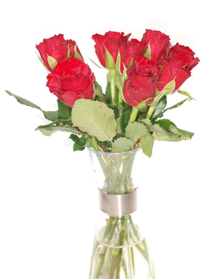 Red roses in a vase stock photo. Image of affection, anniversary - 10832460