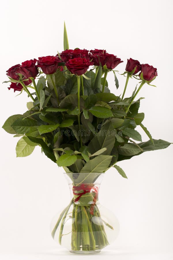 Red roses in vase stock image. Image of rustic, beauty - 44306663