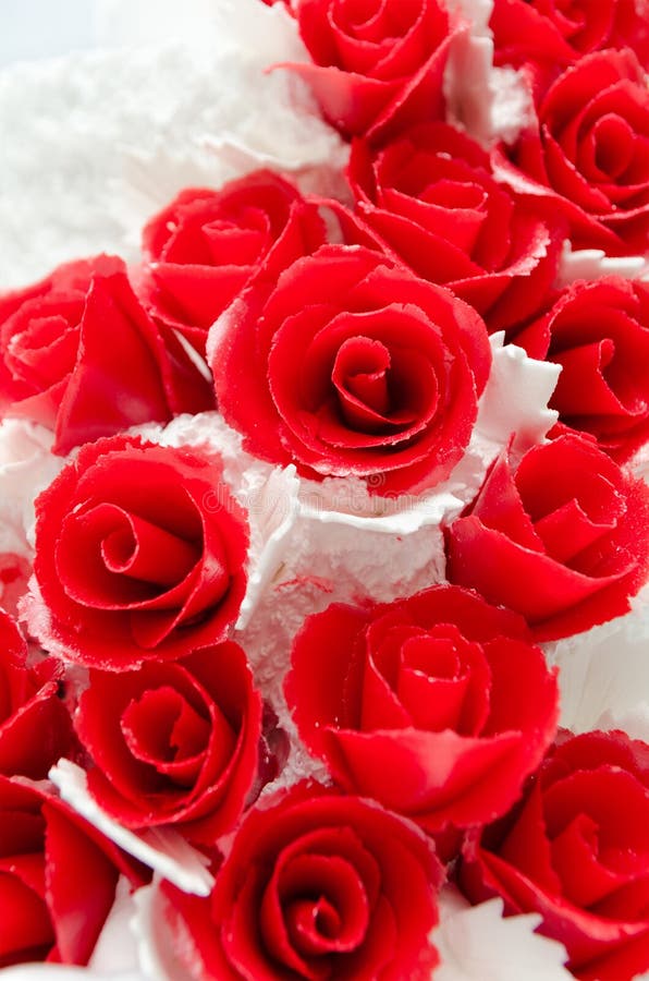 Many red roses stock image. Image of wrapped, closeup - 18140929