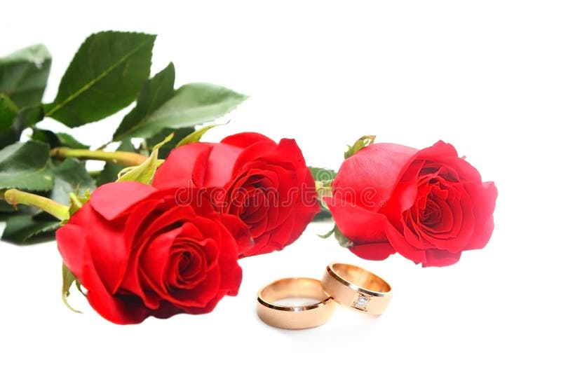Red Roses and Wedding Rings Stock Image - Image of resolution ...