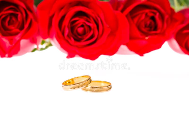 Red Roses and Wedding Rings Over White Stock Photo - Image of jewel ...