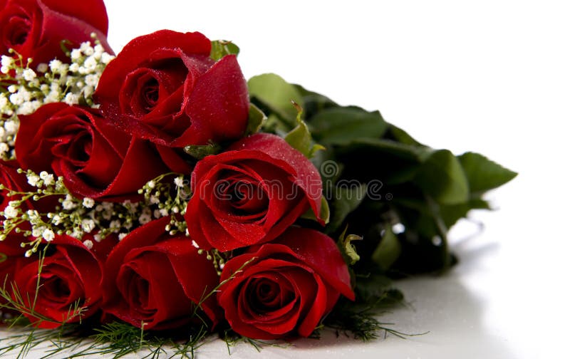 16,564 Horizontal Roses Stock Photos - Free & Royalty-Free Stock Photos ...