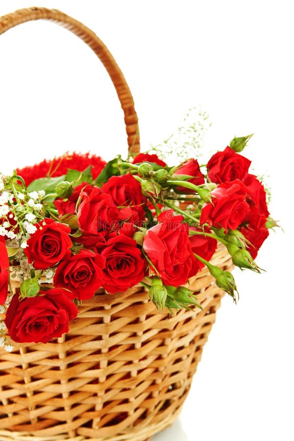 Red roses in wicker basket stock photo. Image of isolated - 12361636