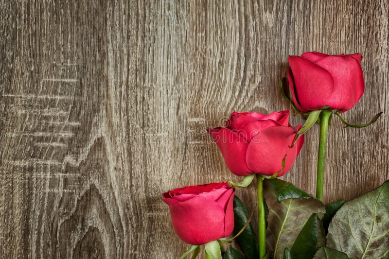 Red roses on wood stock photo. Image of good, decorative - 33362158