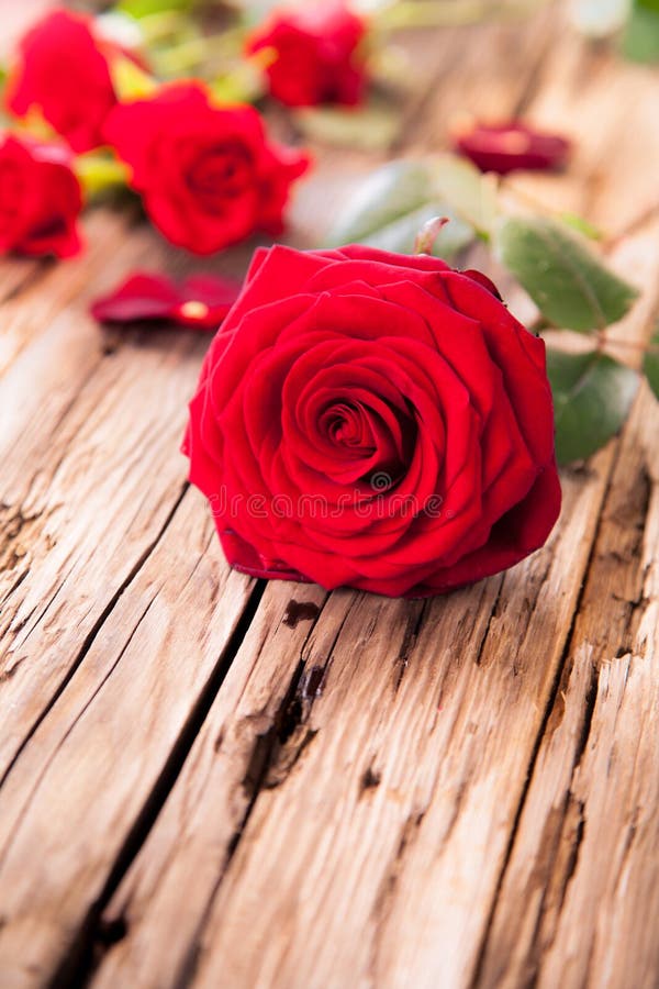 Red roses on wood stock photo. Image of bloom, home, frame - 37116964