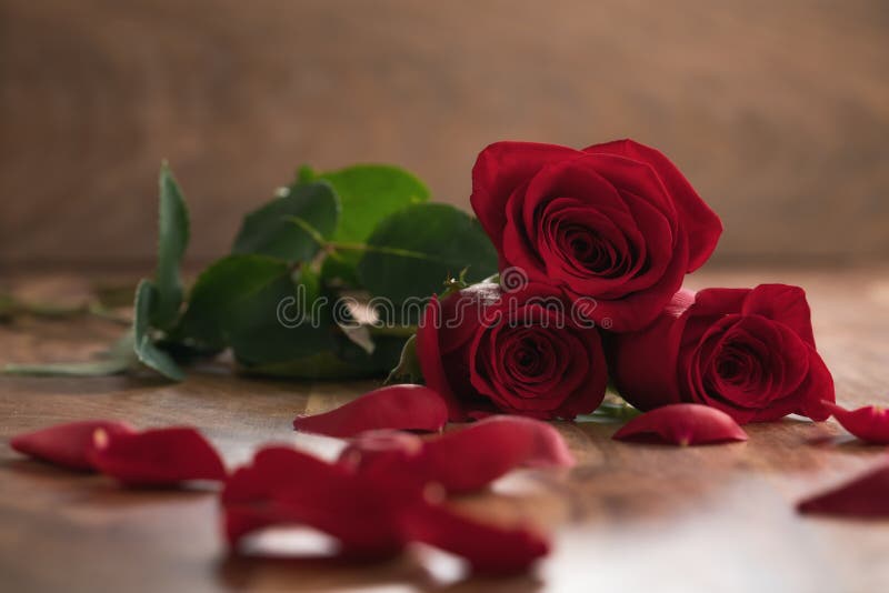 Red roses on wood table stock photo. Image of romance - 170449986