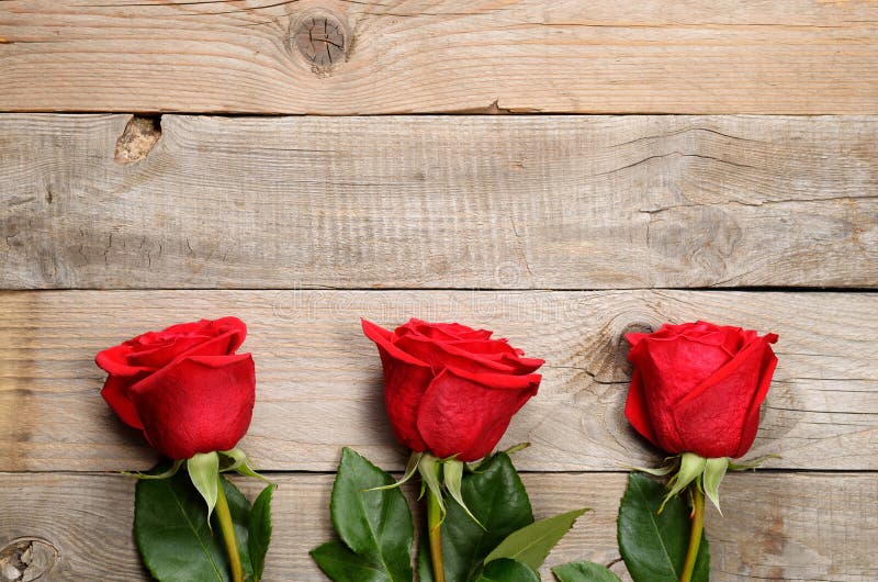 Red roses on wood stock image. Image of plank, green - 43642227