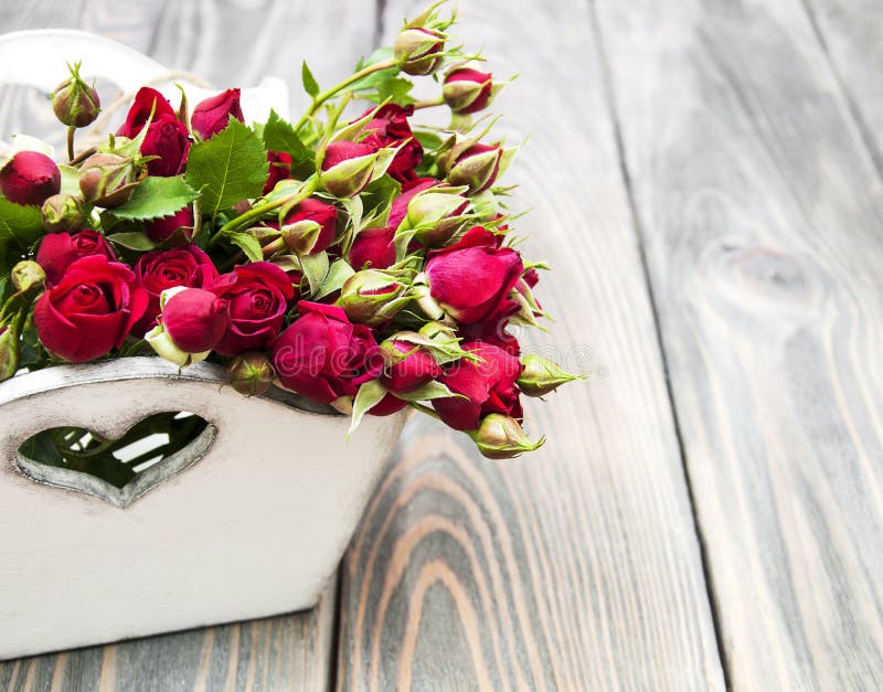 Red roses stock photo. Image of natural, gift, bloom - 47612730