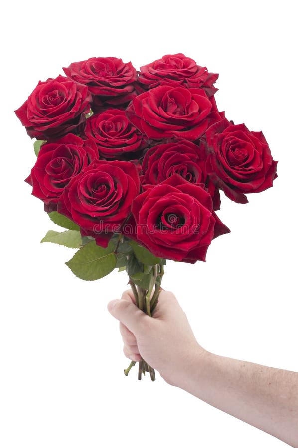 Red roses for you stock image. Image of gift, celebrate - 19226323