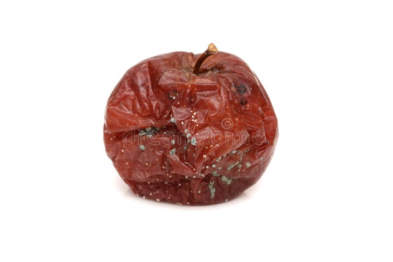 Red Rotten Apple. Natural Color and Texture Stock Photo - Image of mold ...