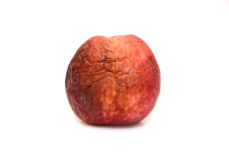 Red Rotten Apple, Natural Color and Texture. Stock Photo - Image of ...