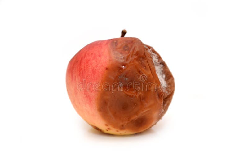Red Rotten Apple. Natural Color and Texture Stock Photo - Image of mold ...