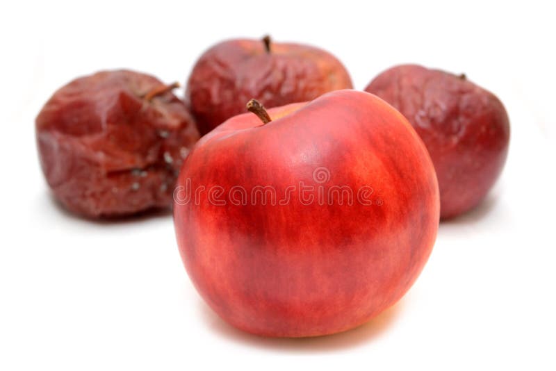 Red Rotten Apples and Healthy Apple. Natural Color. Stock Image - Image ...