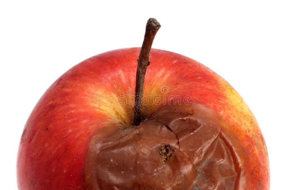 Red Rotten Spoiled Apple Closeup Stock Image - Image of closeup, waste ...