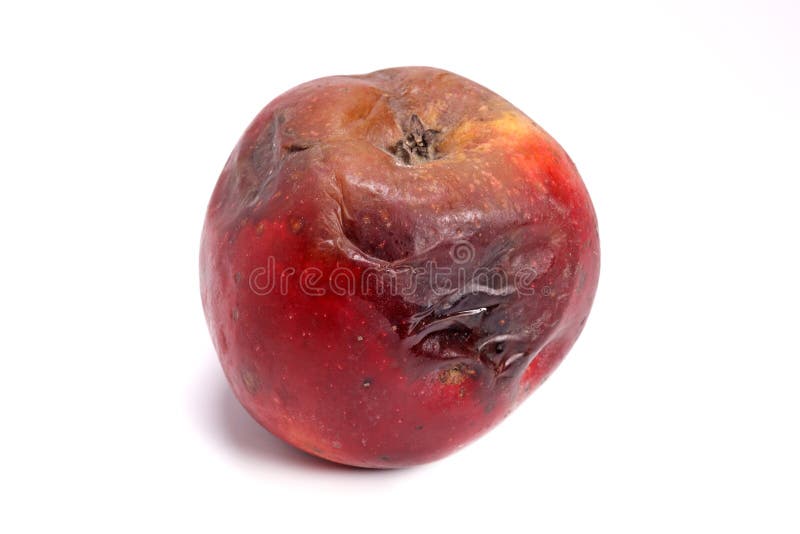 Red Rotten Spoiled Apple Isolated on White Stock Photo - Image of macro ...