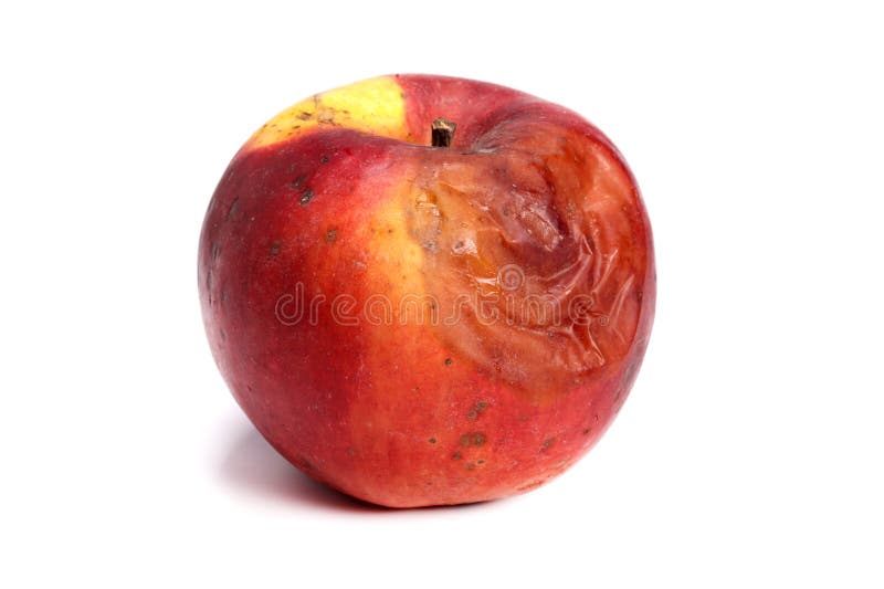 Red Rotten Spoiled Apple Isolated on White Stock Photo - Image of ...