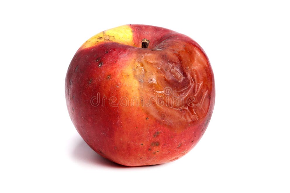 Red Rotten Spoiled Apple Isolated on White Stock Photo - Image of ...