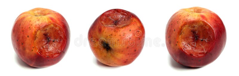 Red Rotten Spoiled Apple from Three Sides Isolated on White Stock Image ...