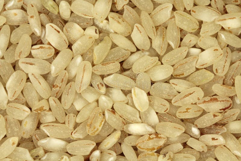 Red round grain rice stock photo. Image of healthy, abstract - 69285820