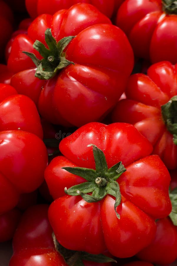 Red tomatoes stock image. Image of closeup, fresh, tomatoes - 29900125