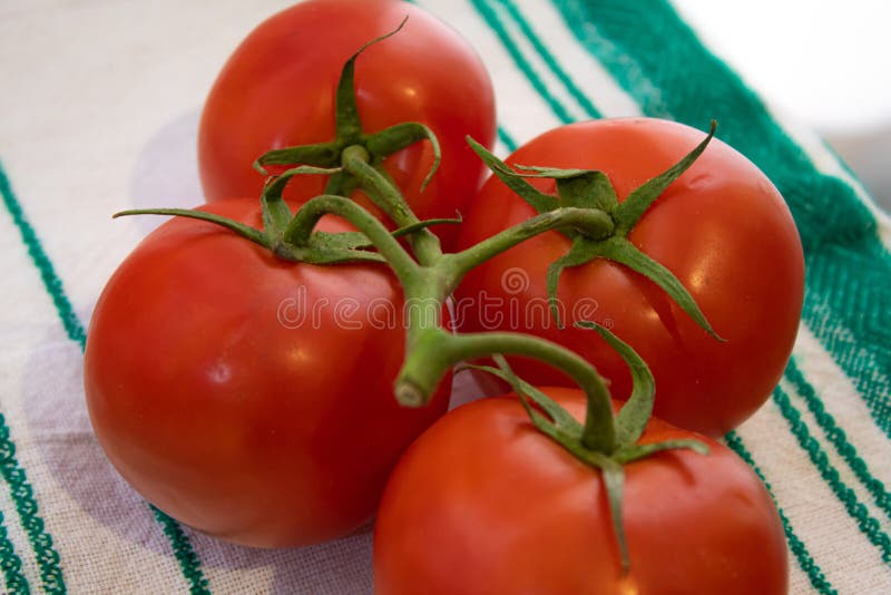 Red Round Tomatoes in a Wooden Board Stock Photo - Image of delicius ...
