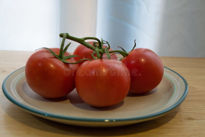 Red Round Tomatoes in a Wooden Board Stock Image - Image of nutrition ...