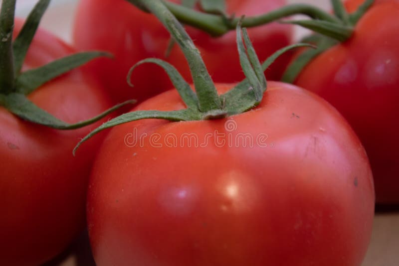 Red Round Tomatoes in a Wooden Board Stock Photo - Image of organic ...